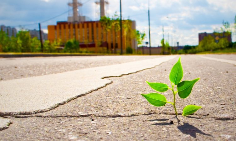 Logan City Council Libraries